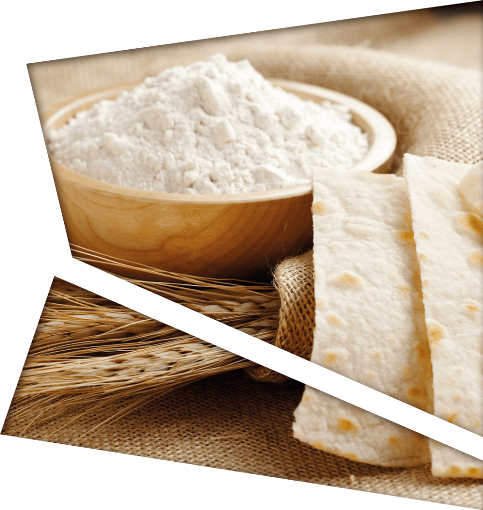 Organic soft wheat - AgriBio Germany